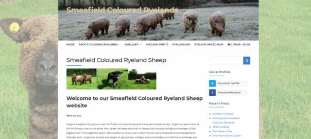 Smeafield-coloured-ryelands | Ryeland Spirits